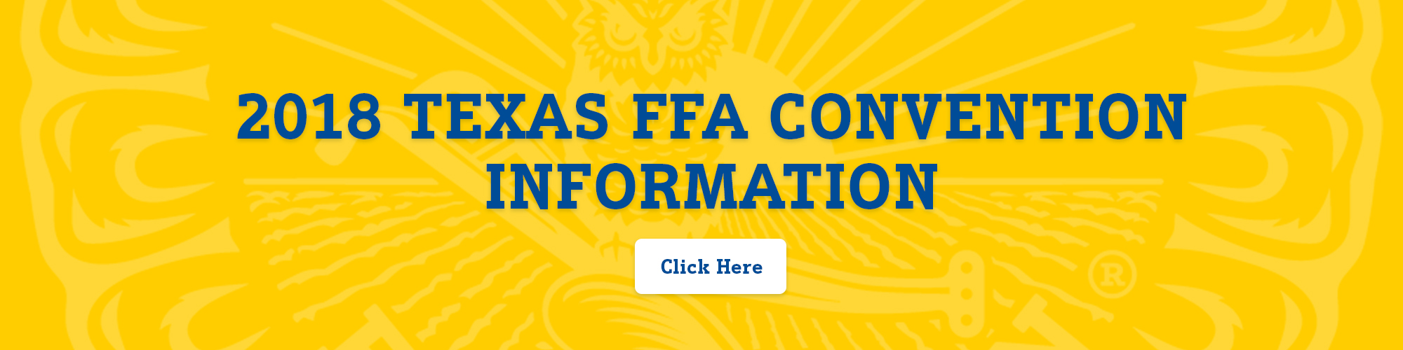 Texas FFA Association
