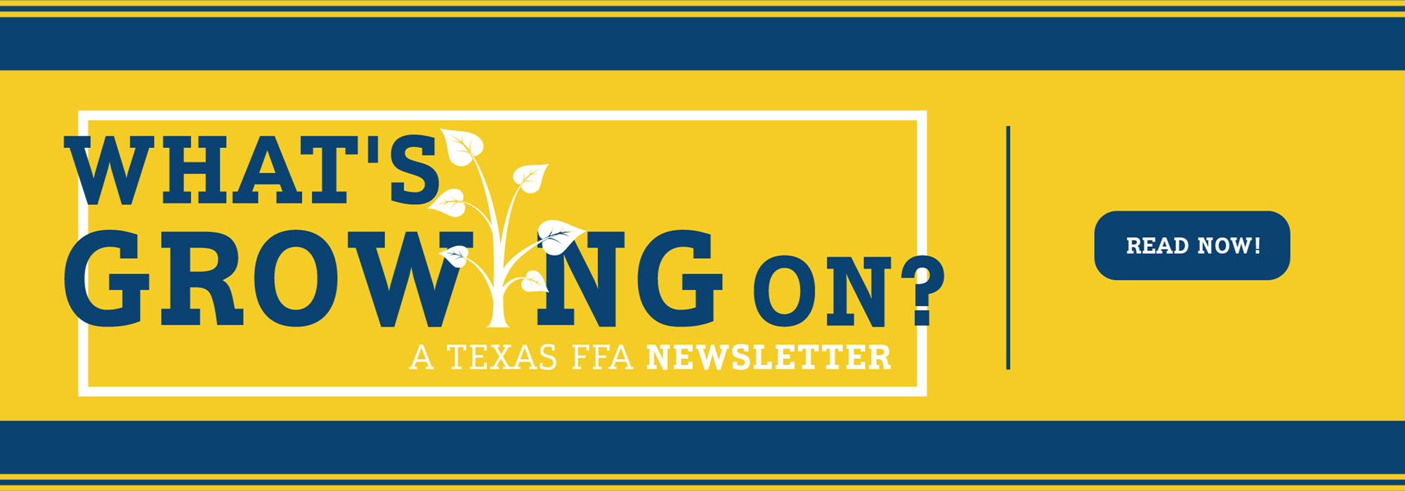 Texas FFA Association